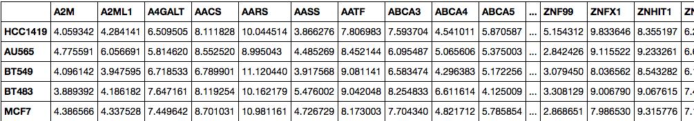 是否可以在不先创建列表的情况下将 Series 附加到 Dataframe 行pythonmangs Python