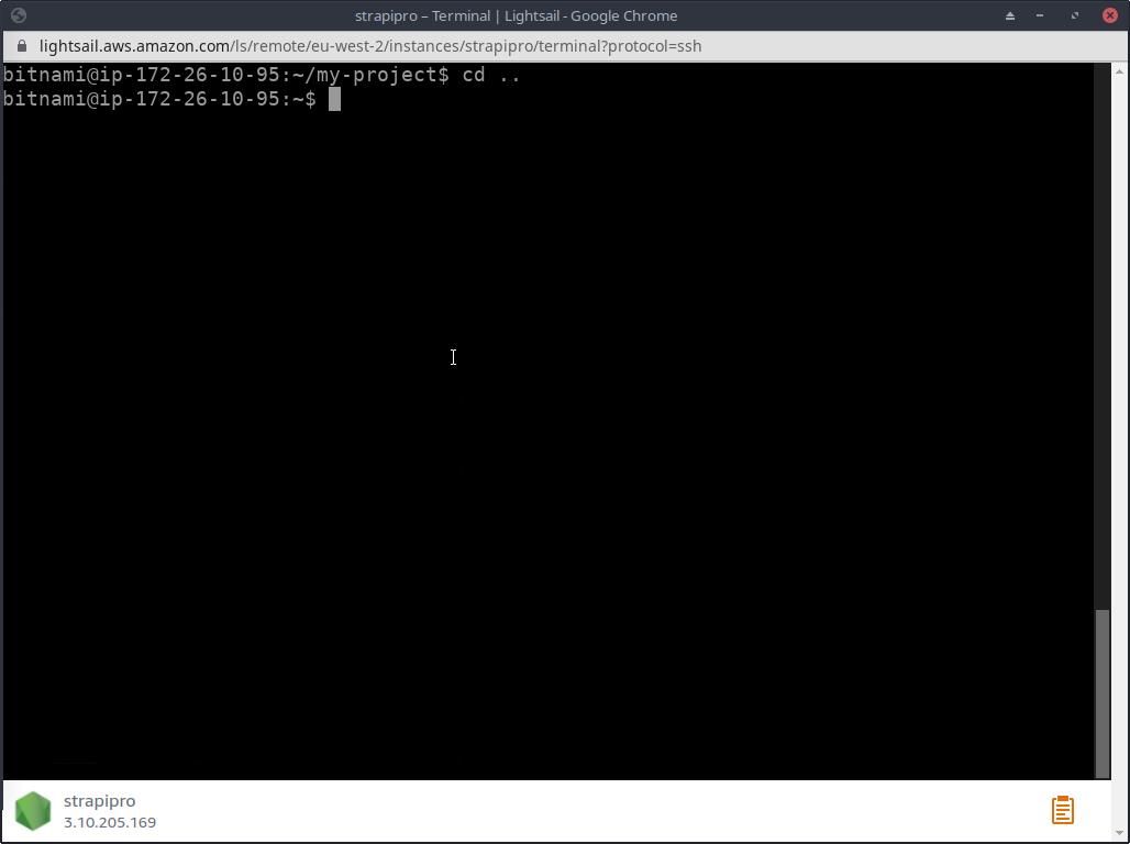 部署 Strapi 到你自己的 VPS_neiro-CMS
