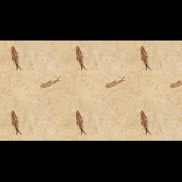 Resize rectangular image to square, keeping ratio and fill background with black_python_Mangs-Python