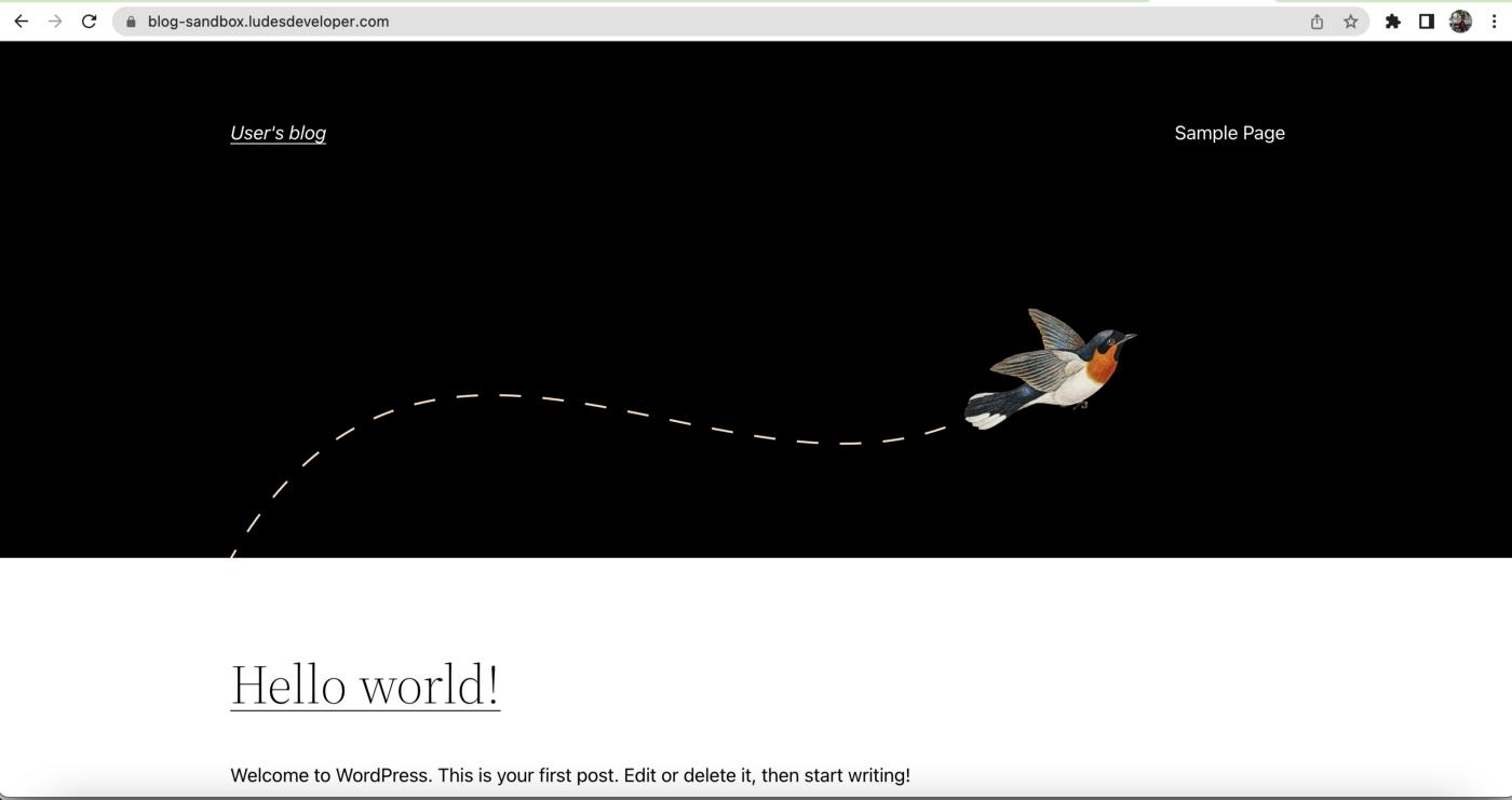 在 Amazon Lightsail 上部署 WordPress 自管理_neiro-CMS