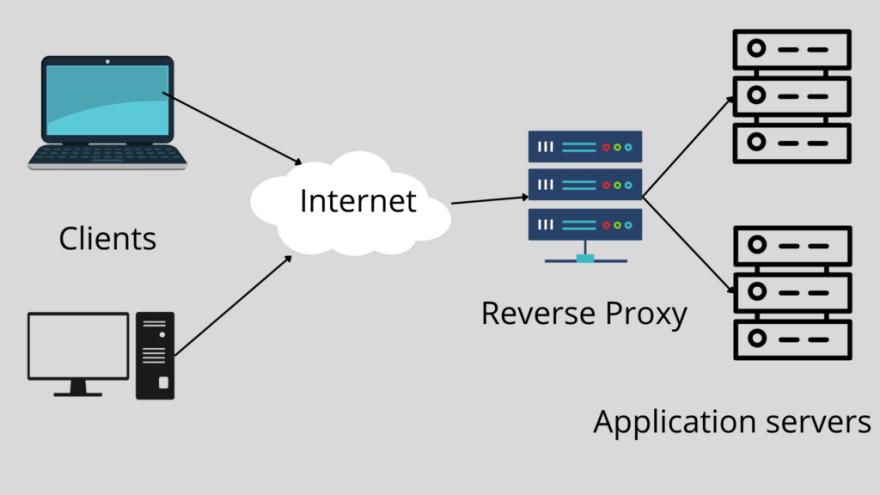 Nginx Vs Apache选择 2022 年最好的 Web 服务器linuxlinux小助理 Linux