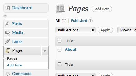 Wordpress 设置标题?_neiro-CMS